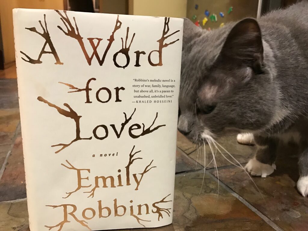 Book Review: A Word For Love by Emily Robbins - I've Read This