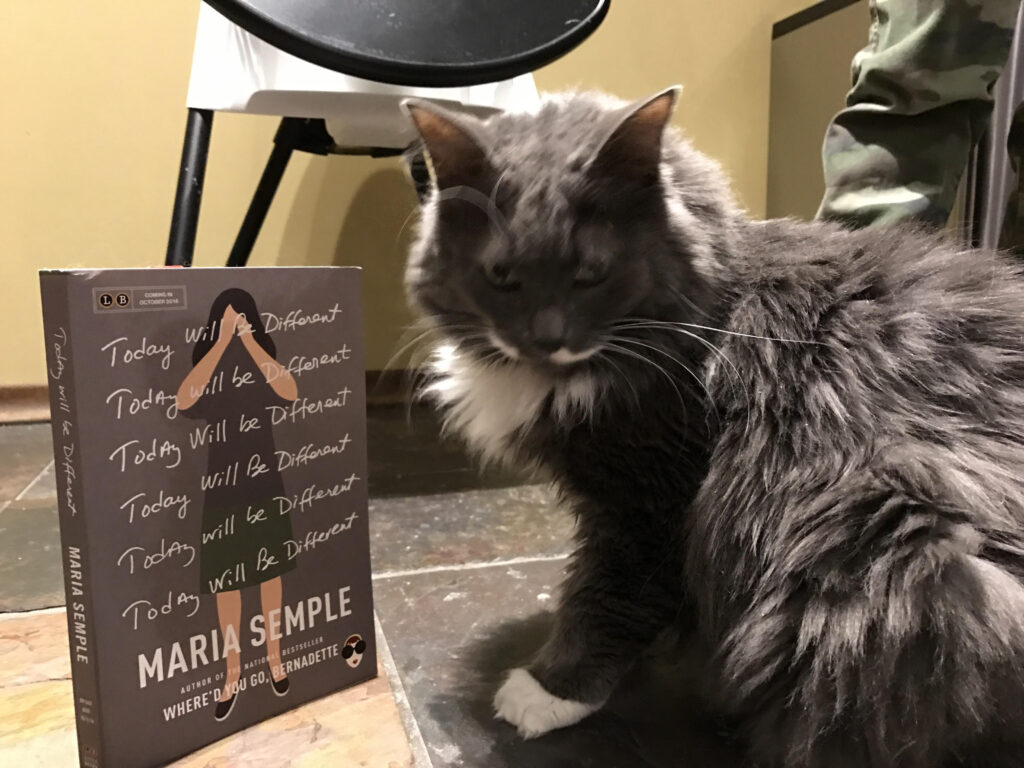 Book Review: Today Will Be Different by Maria Semple - I've Read This