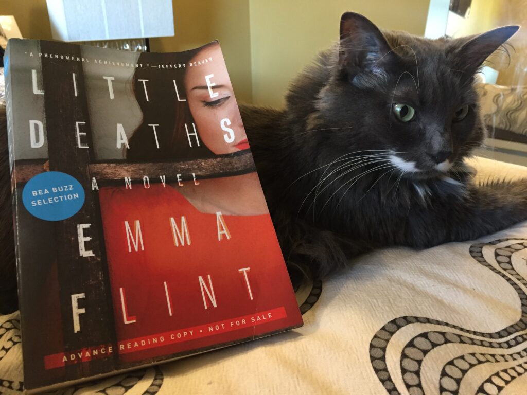 Book Review: Wenjack by Joseph Boyden - I've Read This