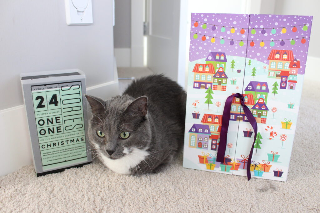 Double Advent Calendar Unveilings-Follow Along with Me! - I've Read This