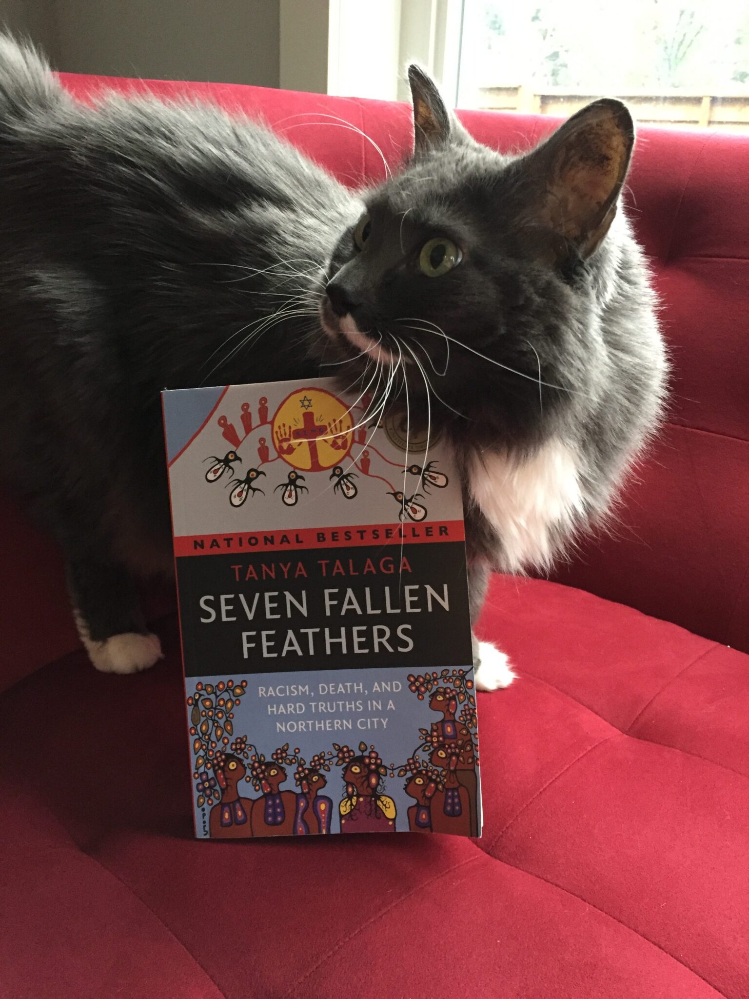 Book Review Seven Fallen Feathers by Tanya Talaga