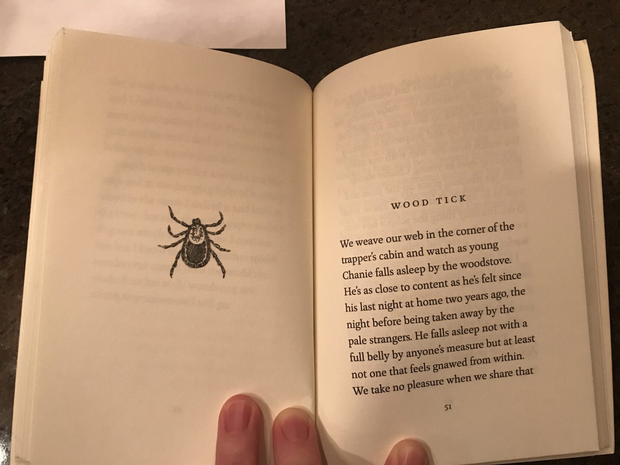 Book Review: Wenjack by Joseph Boyden - I've Read This