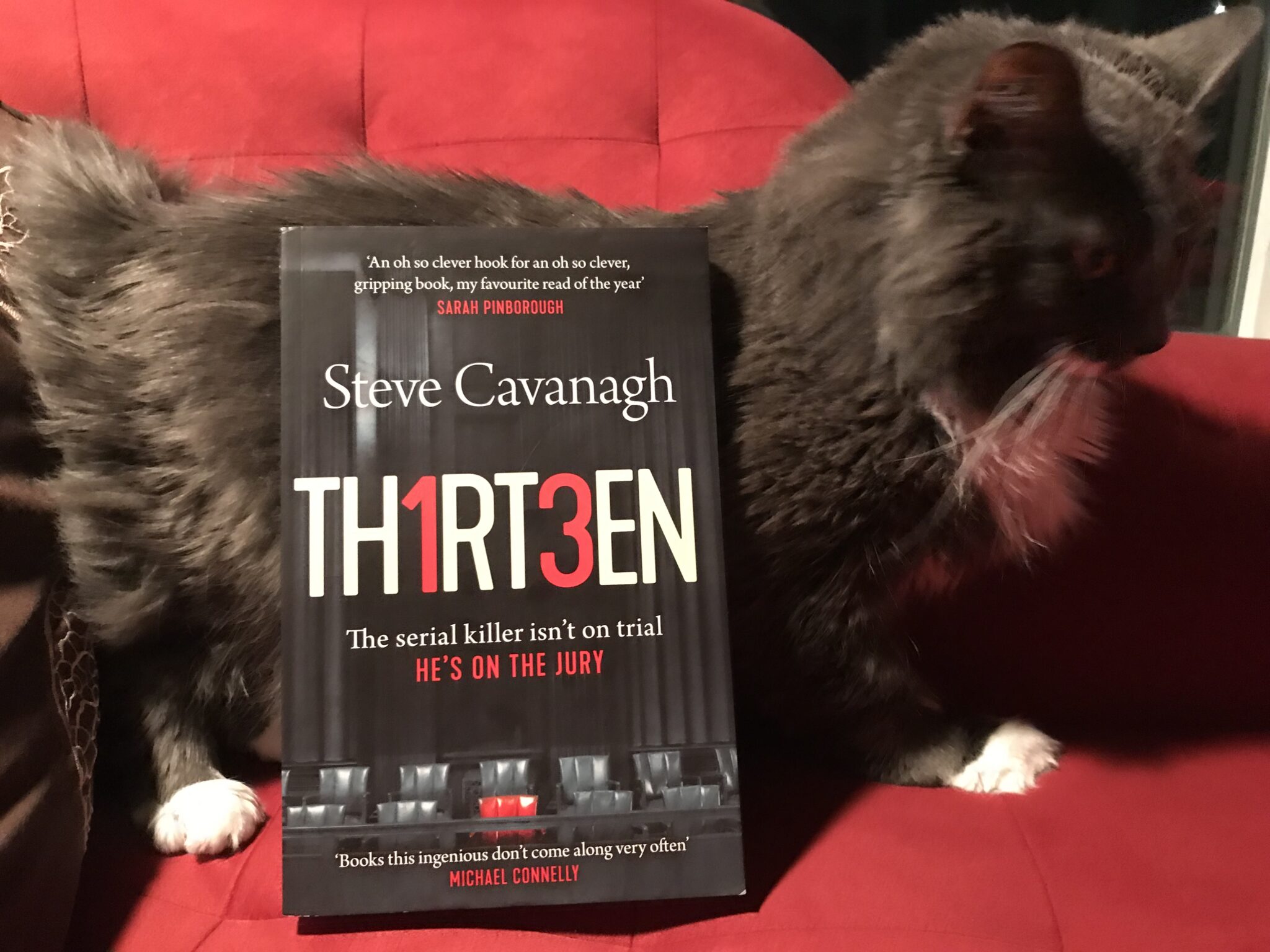 Book Review: Thirteen by Steve Cavanagh - I've Read This