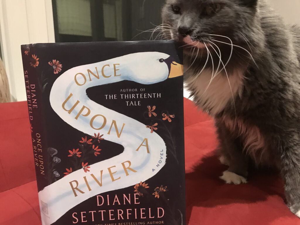 Once Upon a River by Diane Setterfield book review