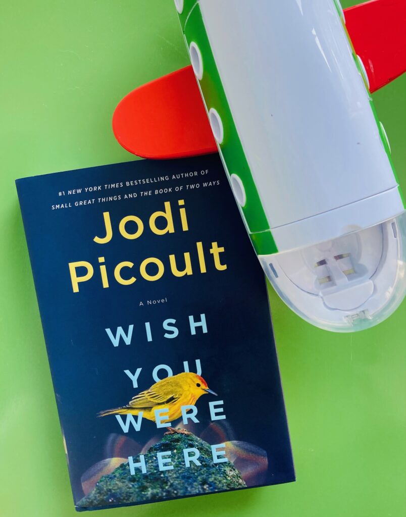 Book Review: Wish You Were Here by Jodi Picoult - I've Read This
