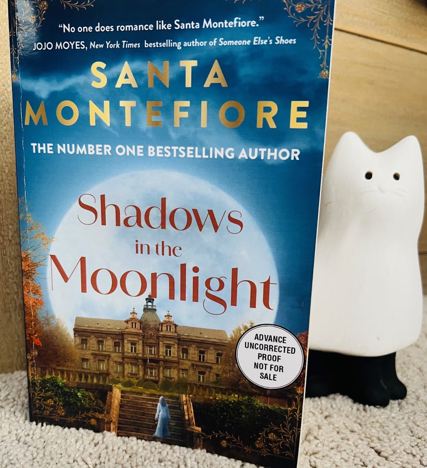 Santa Montefiore - I've Read This